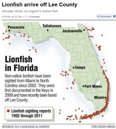 Indo-Pacific Lionfish Threaten Florida | Blog The Beach